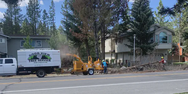 Contact Us | Good View Tree Service